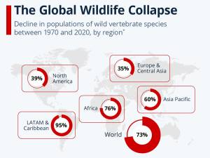 Overpopulation Facts: Animal Extinction | The Message by Yan Vana